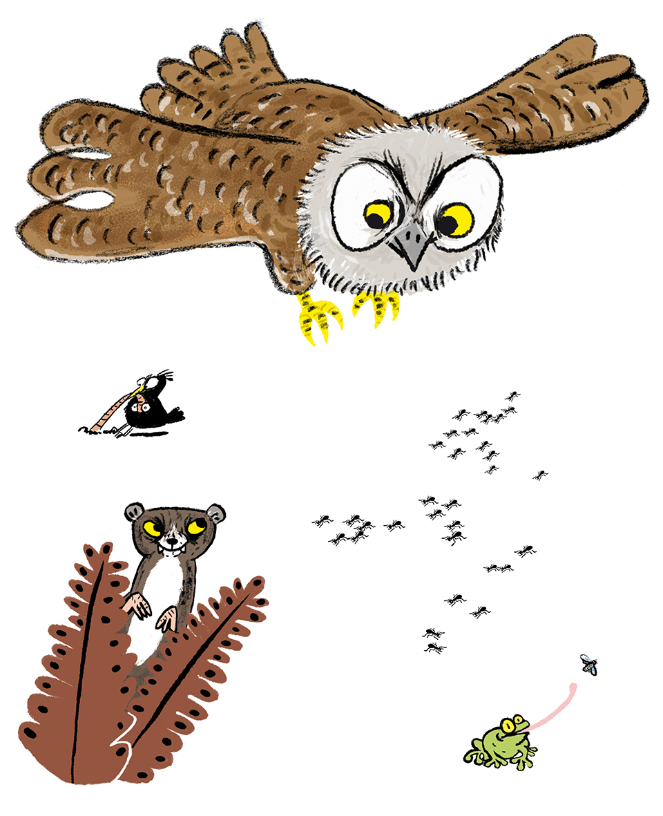 Diva allein im Wald – Barbara Jung